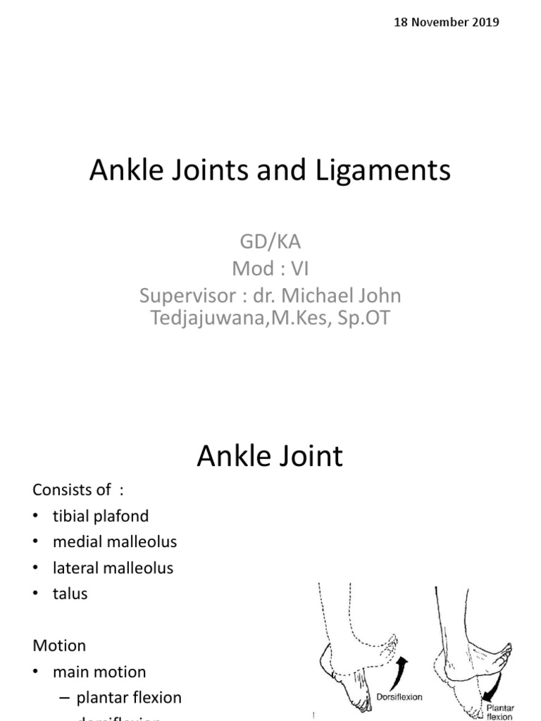 Ankle Joints and Ligaments | PDF