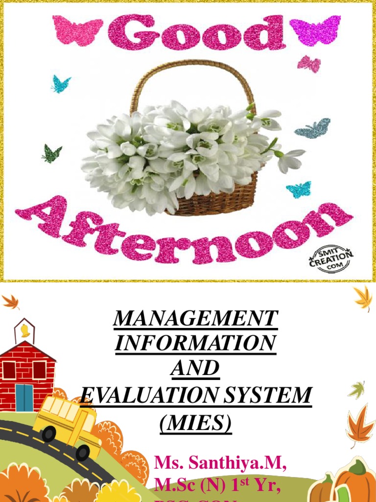 Management Information and Evaluation System (MIES) Overview | PDF ...