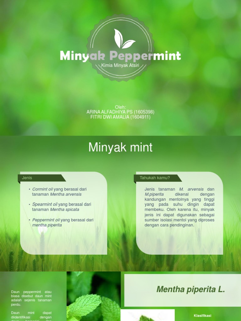 Minyak Peppermint | PDF