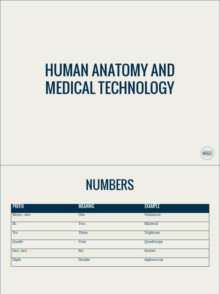 2-10 Medical Terminology and Anatomy PDF | PDF | Anatomical Terms Of ...