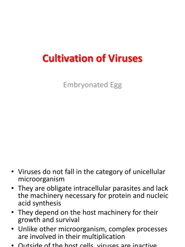 Cultivation of Viruses: Embryonated Egg | PDF | Virus | Cell Culture