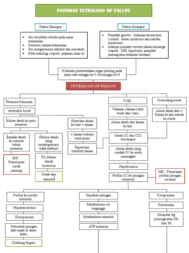 Tof Pathway | PDF