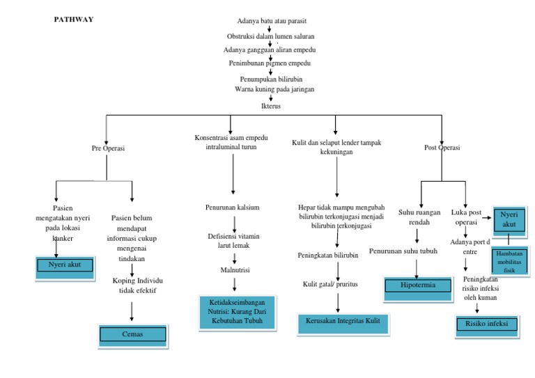Pathway Ikterus Obstruktif | PDF