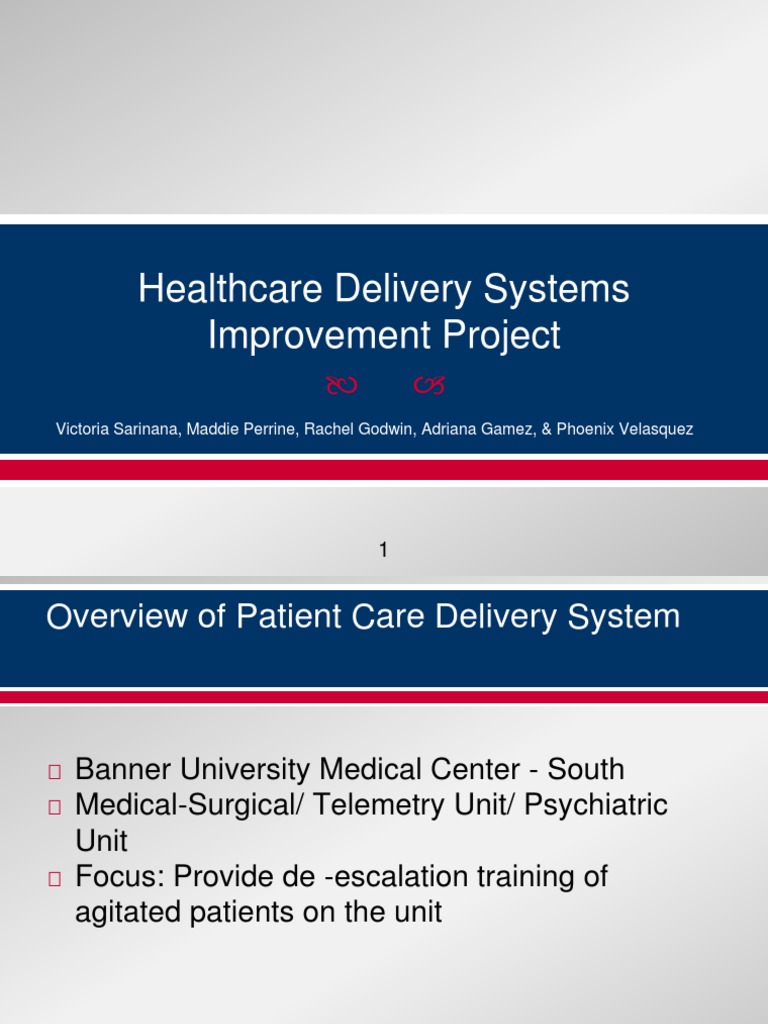 Qip Project | PDF | Health Care | Nursing