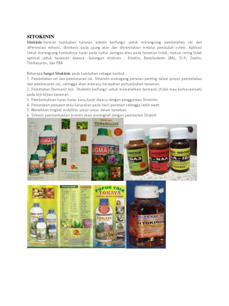 Fungsi dan Struktur Hormon Sitokinin | PDF