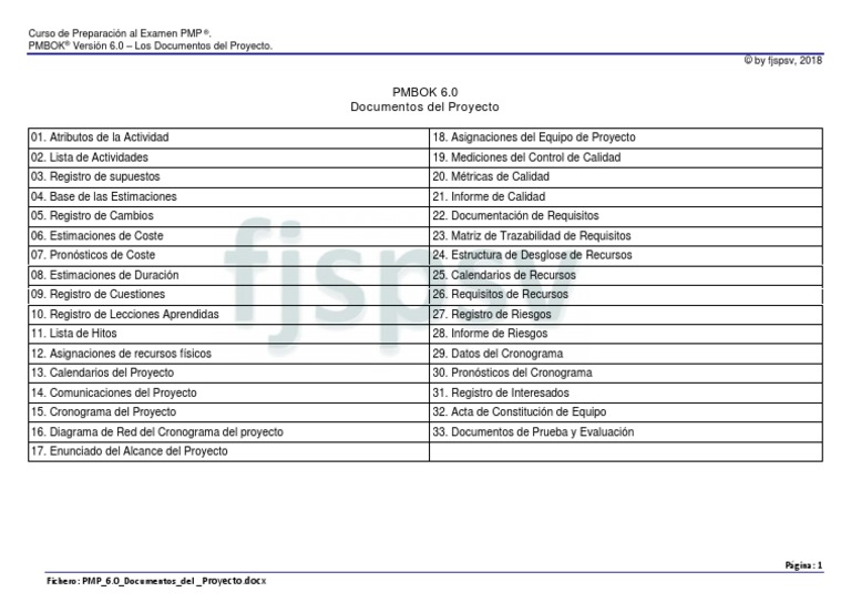 PMP 6.0 C00 Documentos Proyecto | PDF