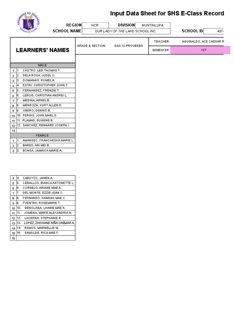 Learners' Names: Input Data Sheet For SHS E-Class Record | PDF