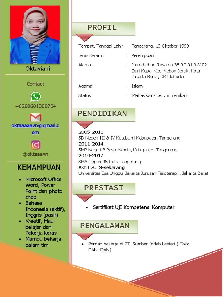 CV Okta | PDF