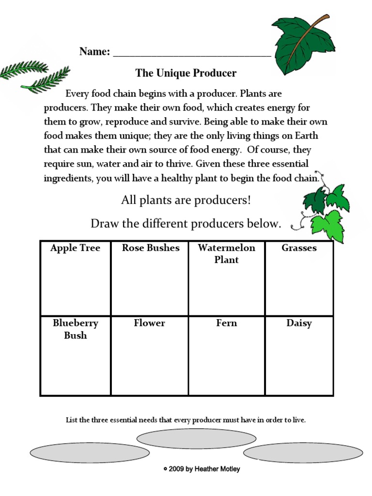 Life Science Activities Consumers and Producers | PDF | Herbivore ...