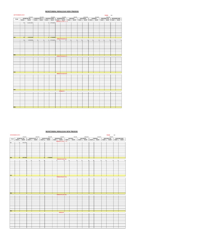 Weekly Sales Monitoring for New Products | PDF