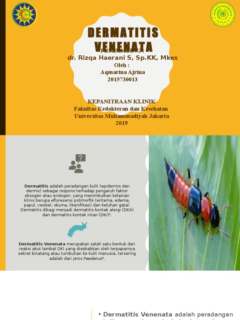 Dermatitis Venenata | PDF