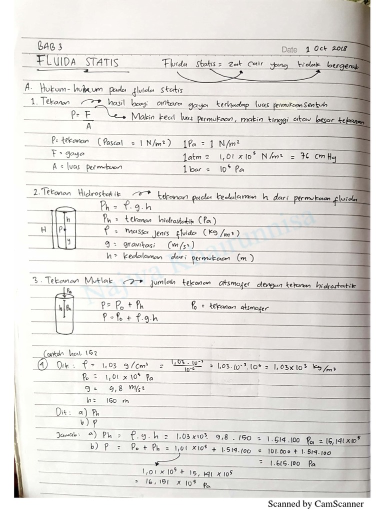 Fluid Stasis Overview | PDF
