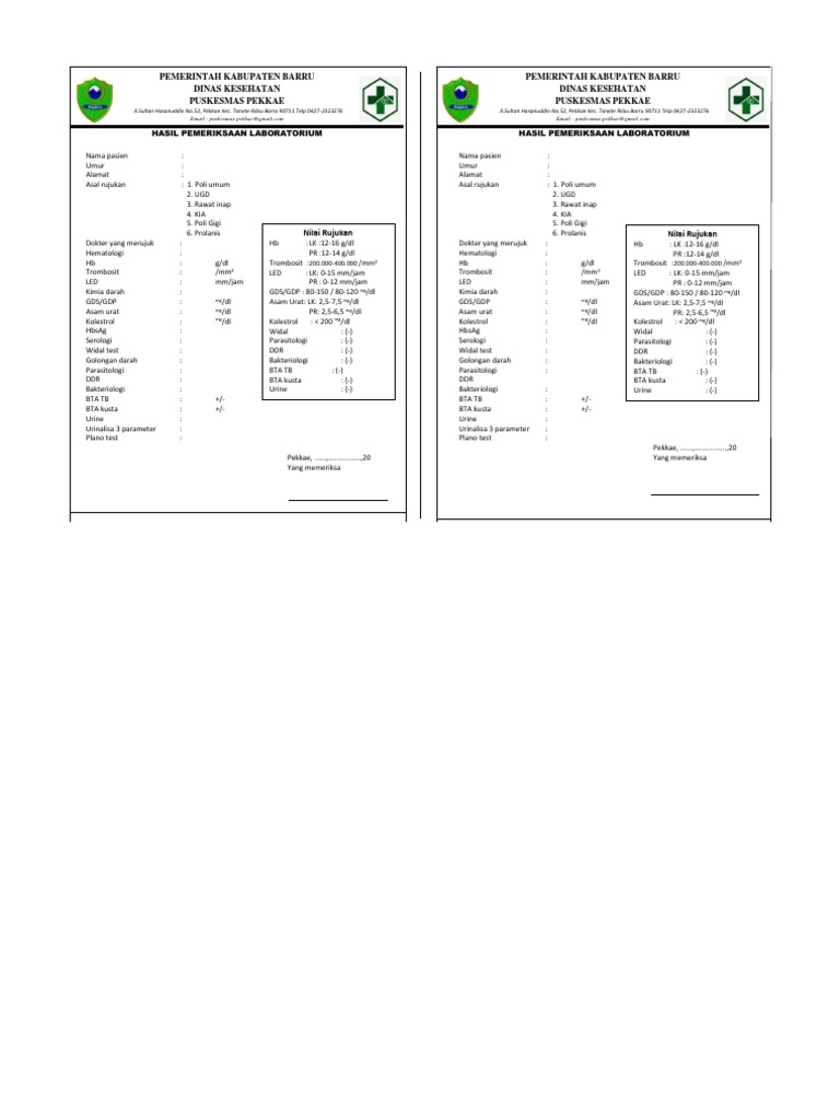 Format Hasil Pemeriksaan Laboratorium | PDF