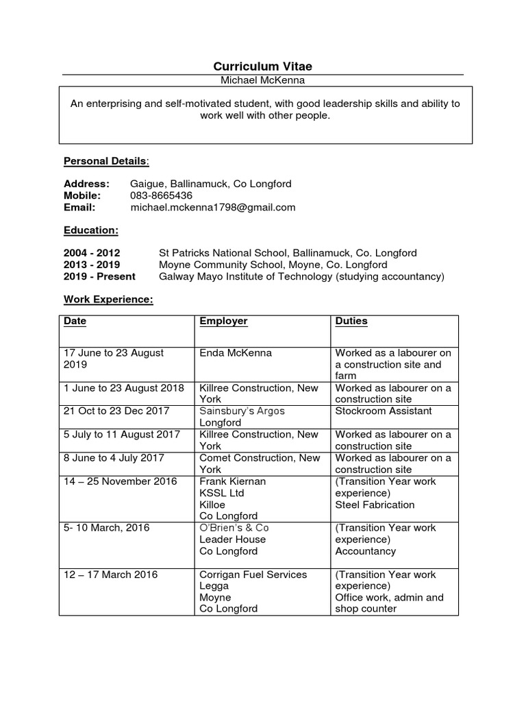Michaels CV | PDF | Educational Stages | Students