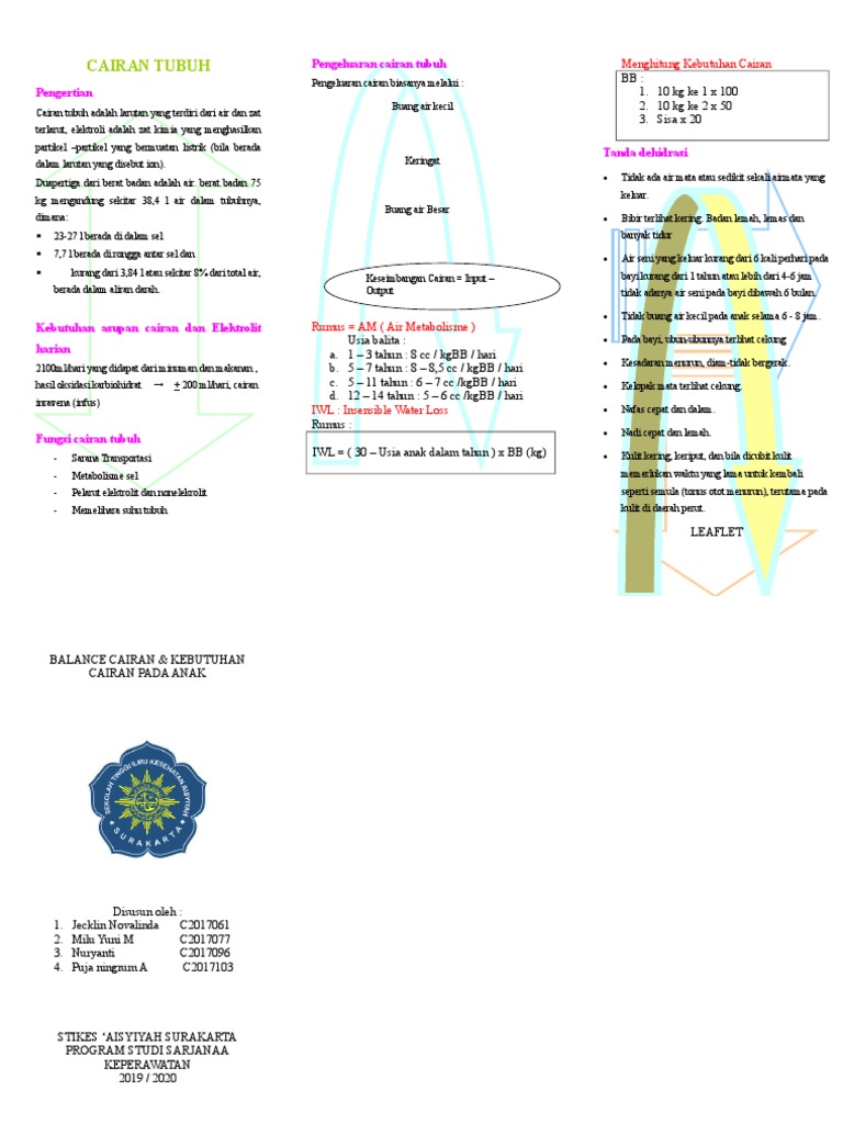 Leaflet Cairan | PDF