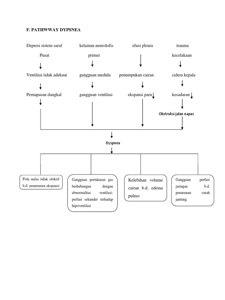 Pathway Dispnea | PDF