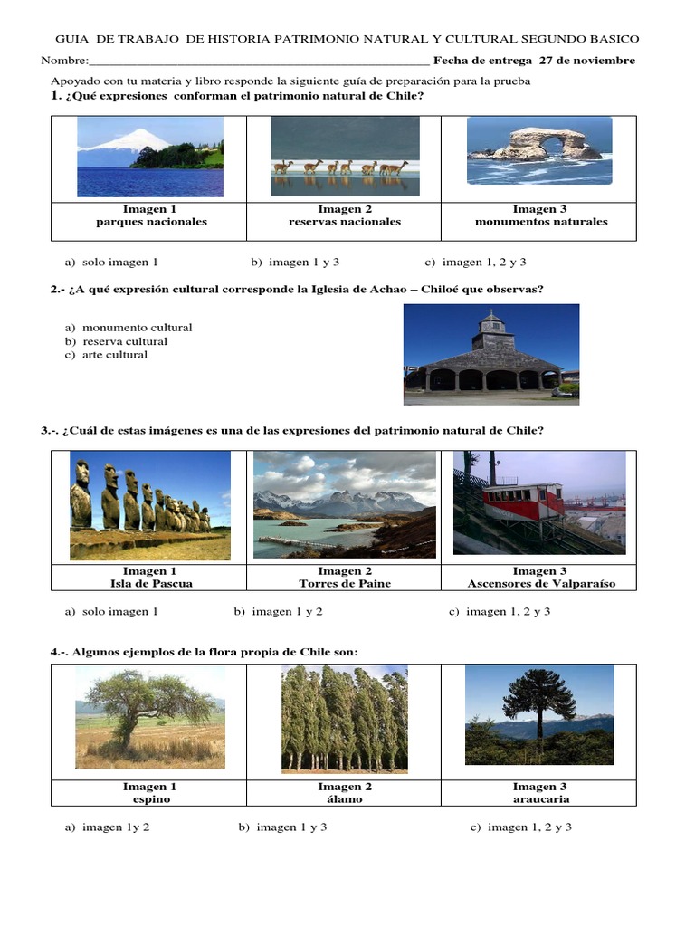 Guia de Trabajo de Historia Patrimonio Natural y Cultural Segundo ...