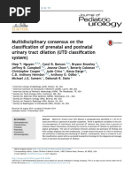UTD Classification for Radiologists | PDF | Radiology | Urology