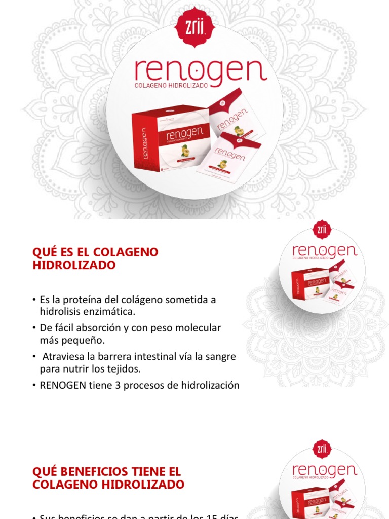 Colageno Renogen | PDF | Gelatina | Hueso