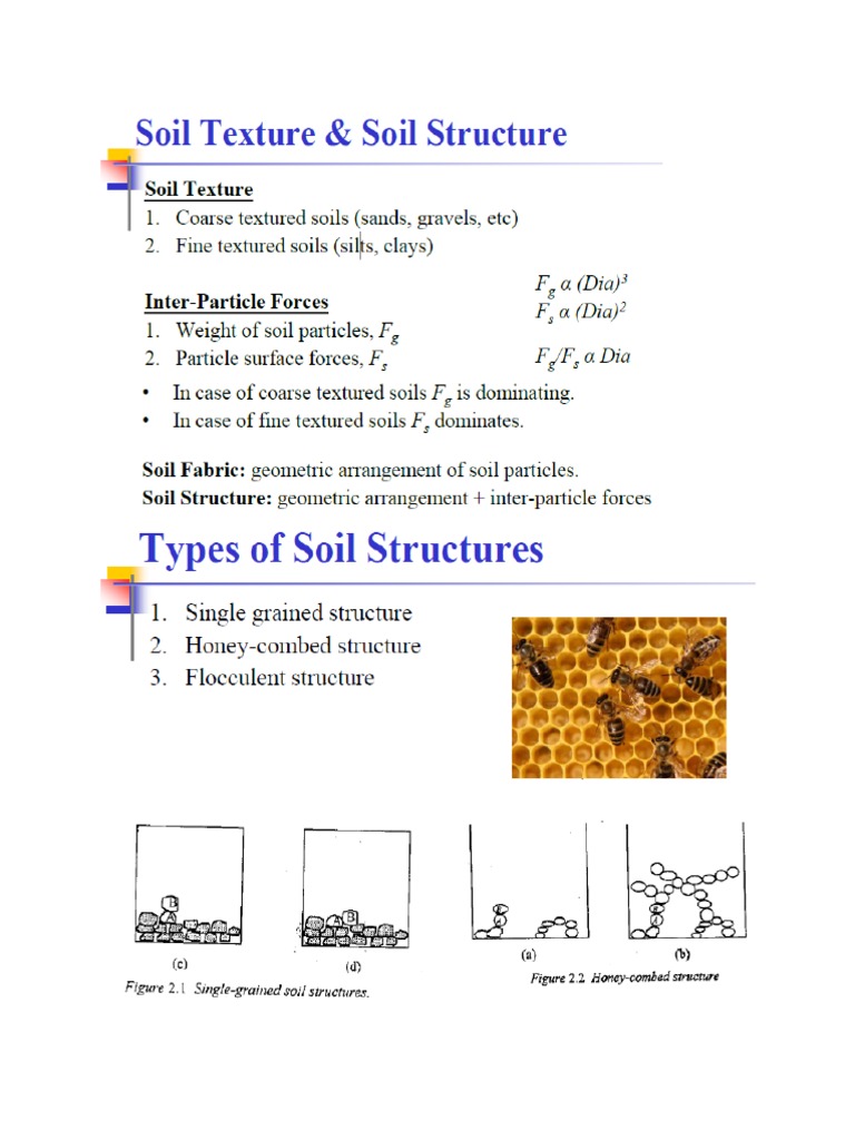Soil Texture | PDF