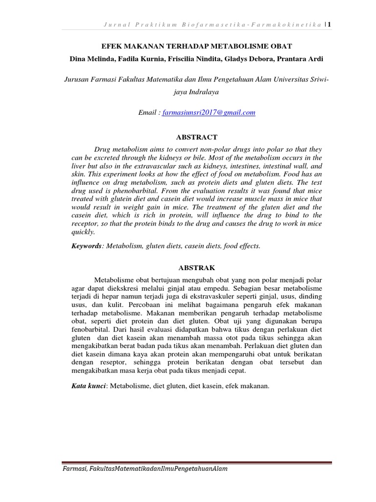 Jurnal Efek Makanan FIX | PDF