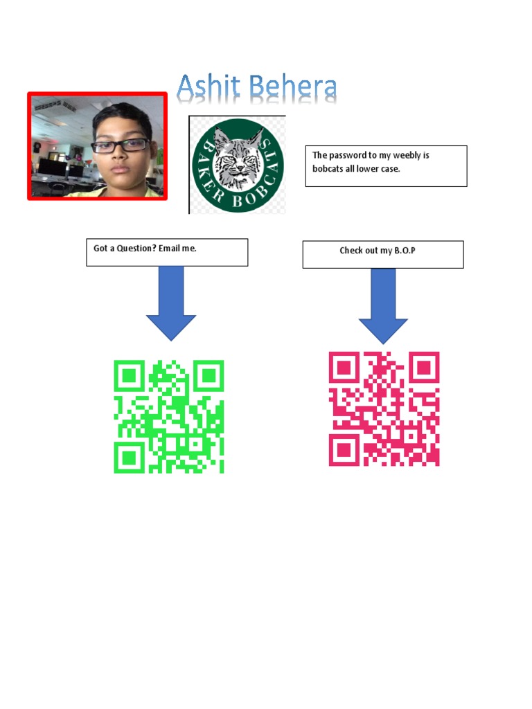 QR Poster | PDF