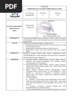 Panduan Pengisian CPPT | PDF