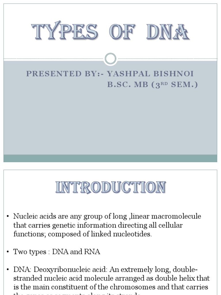 Presentation On Diffrent Types of DNA | PDF | Nucleic Acid Double Helix ...