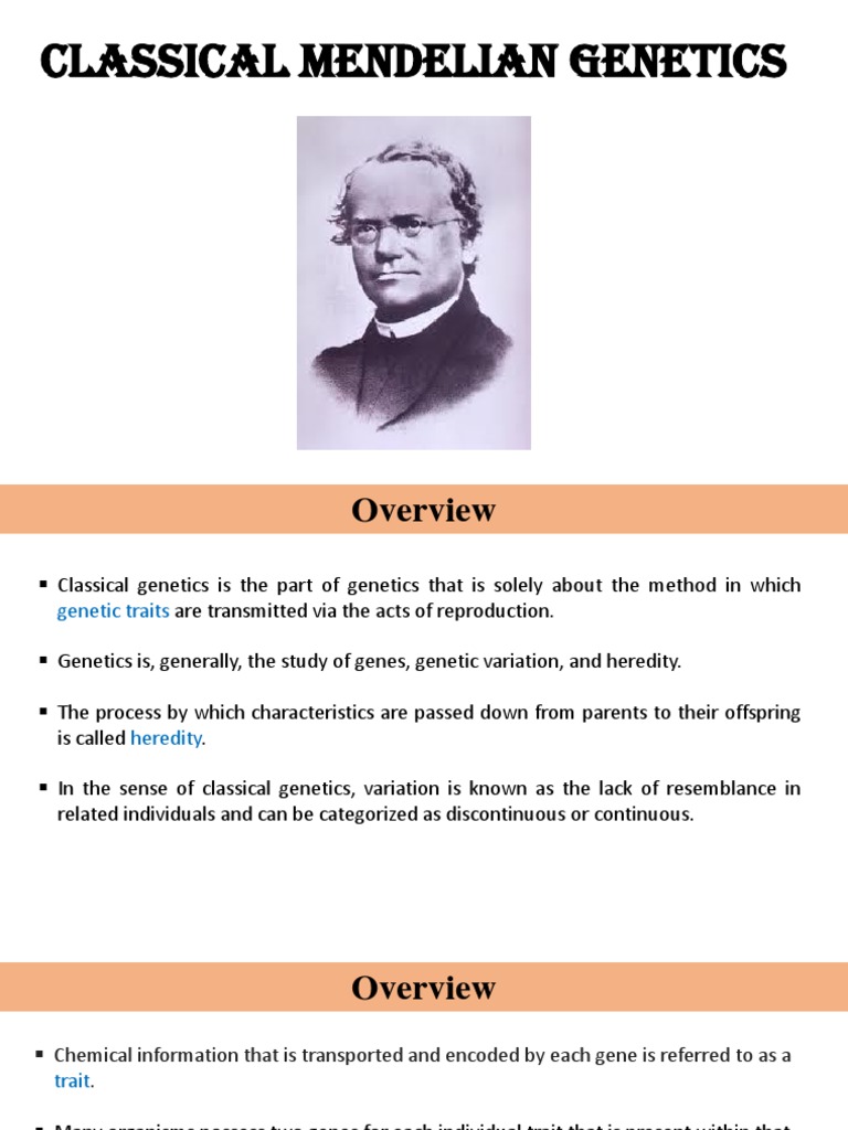 Classical (Mendelian) Genetics | PDF | Dominance (Genetics) | Allele
