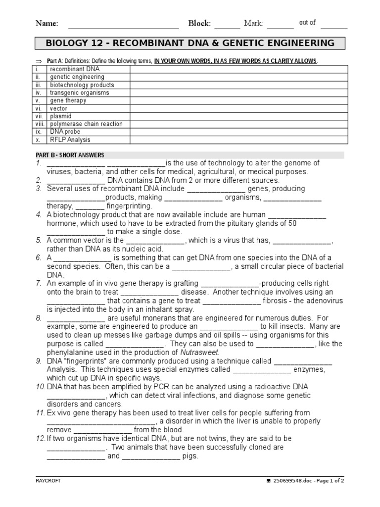 Worksheet Recombinant Dna | PDF | Plasmid | Dna