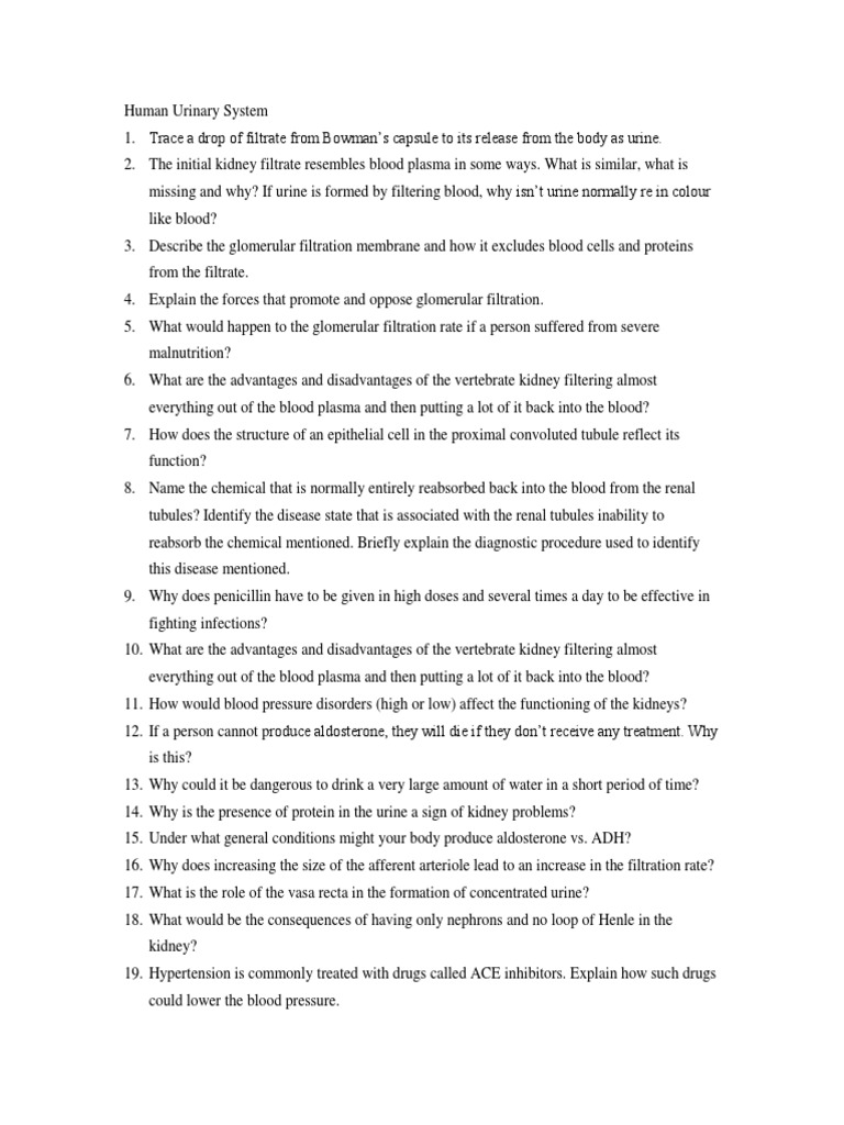 Advanced Renal Physiology Guide | PDF | Kidney | Urinary System