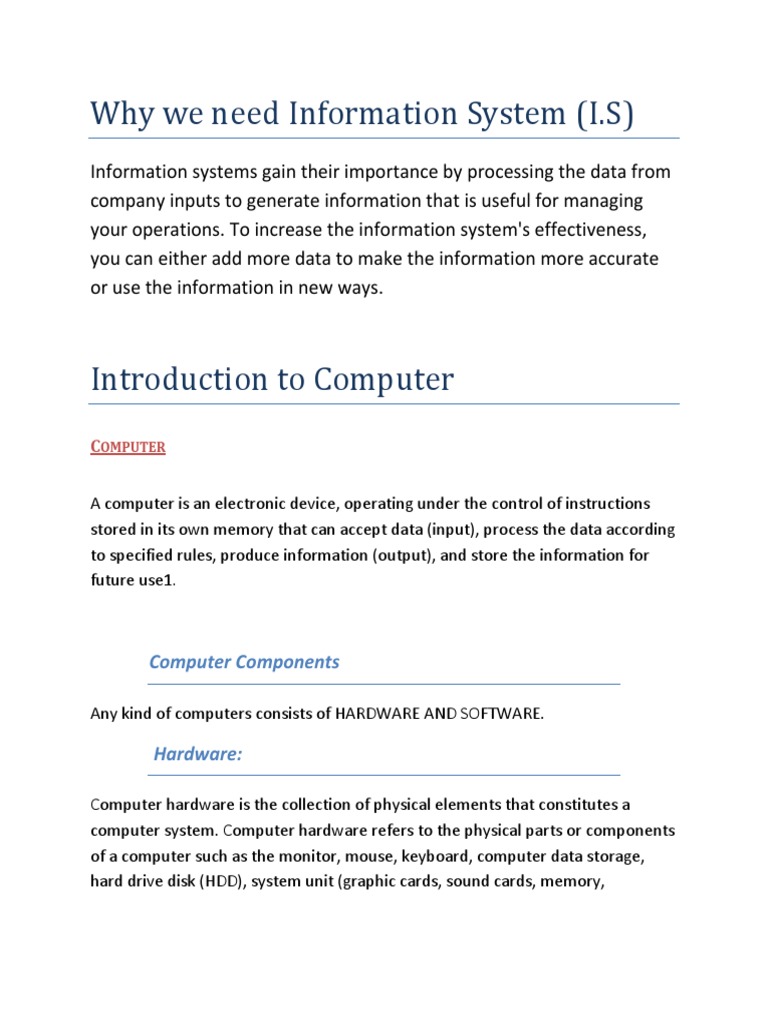 Why We Need Information System | PDF