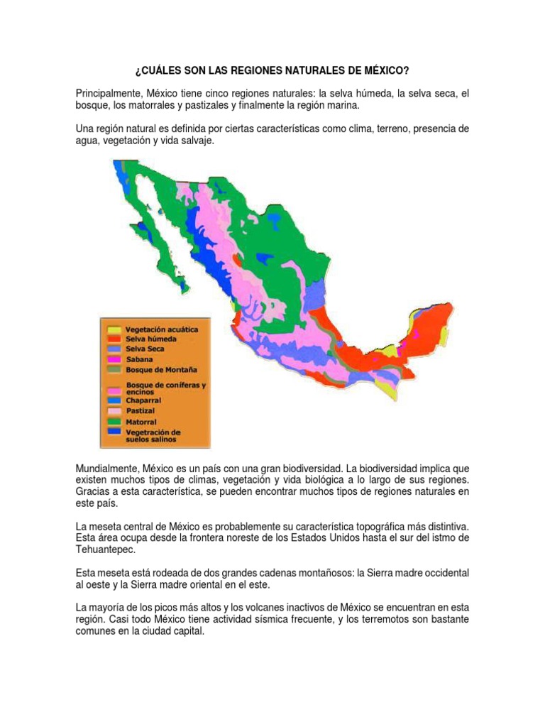 Cuáles Son Las Regiones Naturales de México | Selva | México