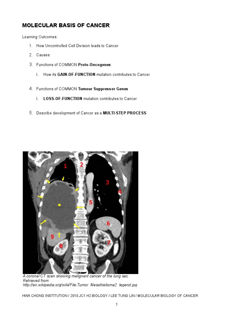 Cancer Remedial | Download Free PDF | Oncogene | Cell Signaling