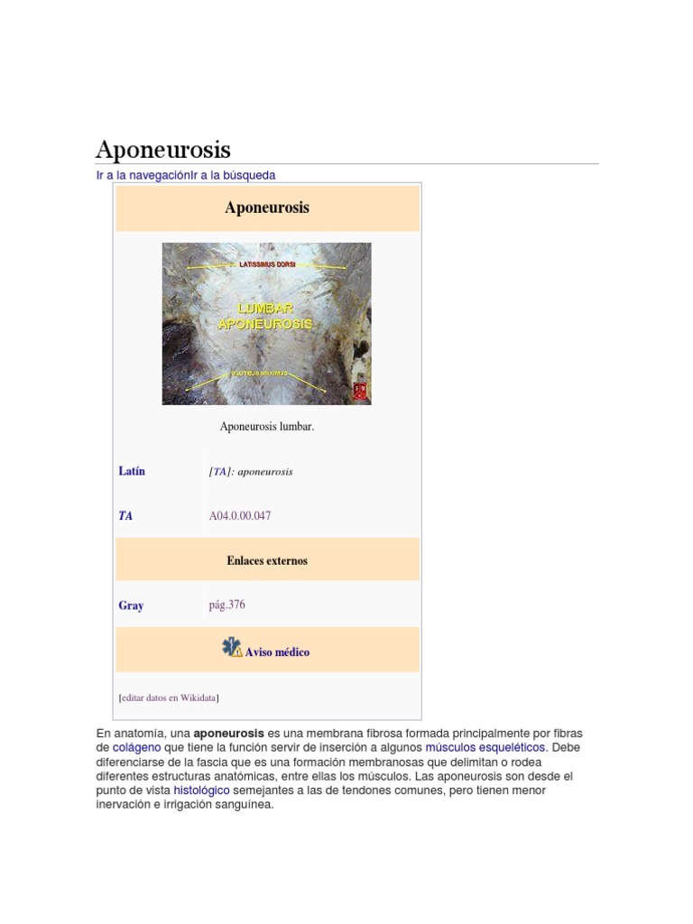 Aponeurosis | PDF | Anatomia animal | Histología