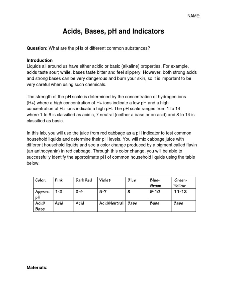 Red Cabbage Science Sizzle | PDF | Ph | Acid