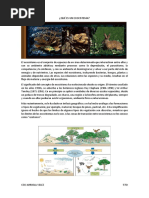 Leyenda Peruana Del Tunche | PDF | Novela negra, policíaca y suspenso