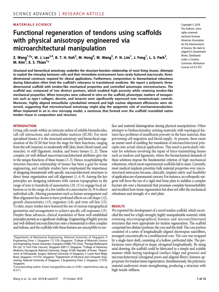 Functional Regeneration of Tendons Using Scaffolds With Physical ...
