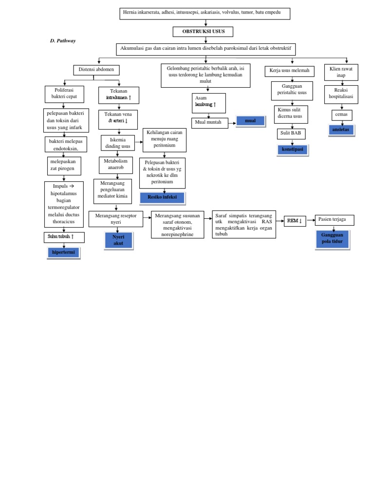 Pathway Bowel Obstruksi | PDF