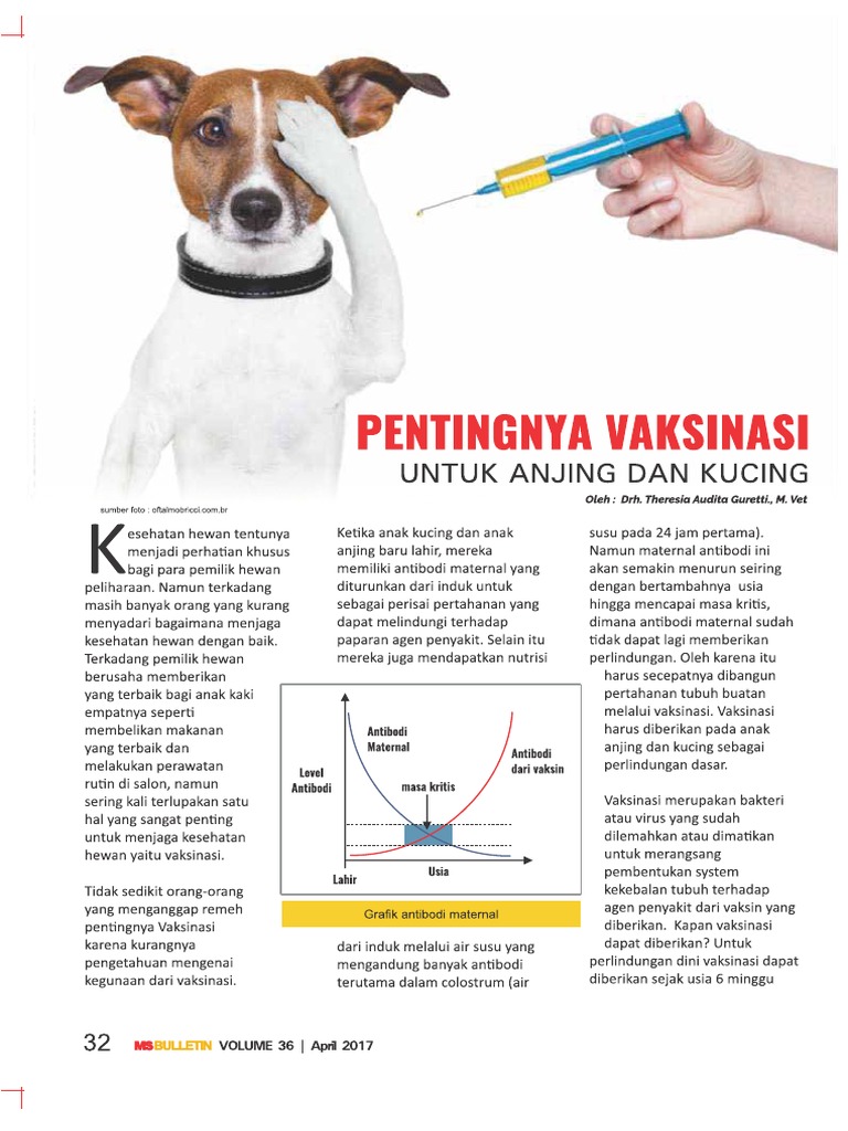 Pentingnya Vaksinasi Untuk Anjing Dan Kucing | PDF
