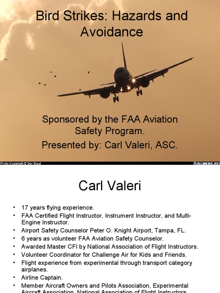 Bird Strikes Hazards and Avoidance | PDF | Flight Instructor | Birds