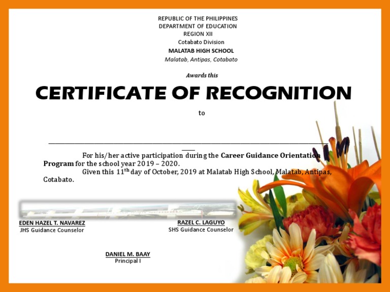 Career Guidance Certificate | PDF