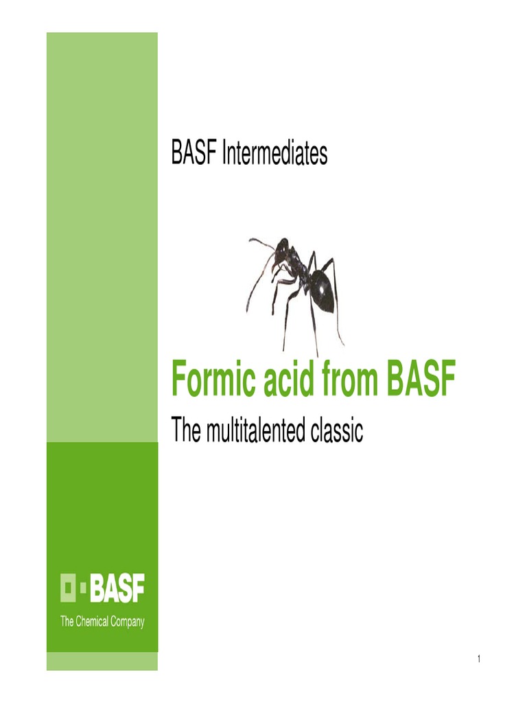 BASF Customer Presentation Formic-Acid | Download Free PDF | Physical ...