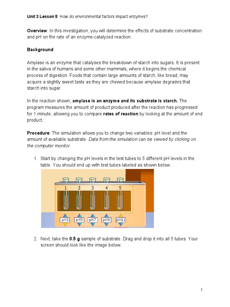 U3 l5 Virtual Lab Instructions 1 | PDF | Enzyme | Physical Sciences