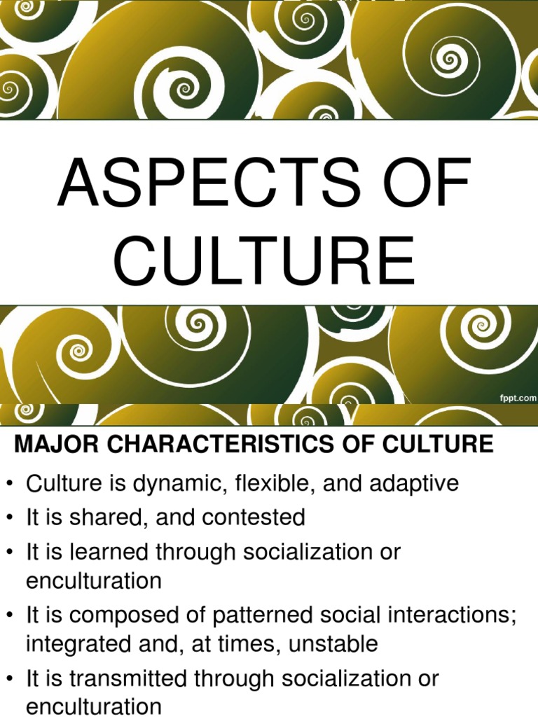 6 Aspects Ofculture | PDF | Language Arts & Discipline