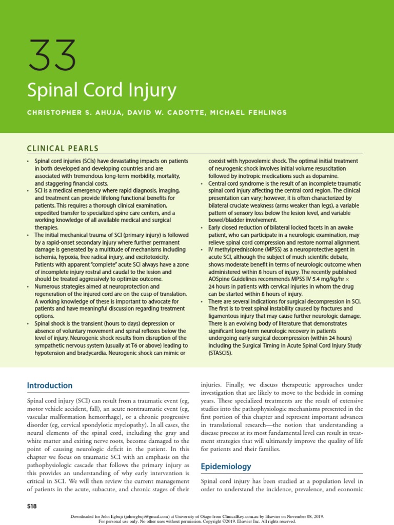 33 Spinal Cord Injury | PDF | Spinal Cord Injury | Spinal Cord