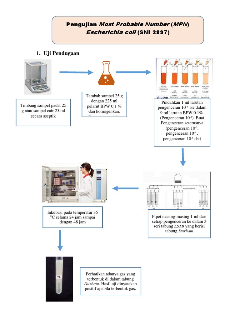Uji MPN E Coli | PDF