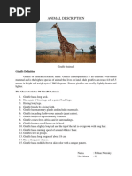 Giraffe Anatomy and Physiology Explained | PDF