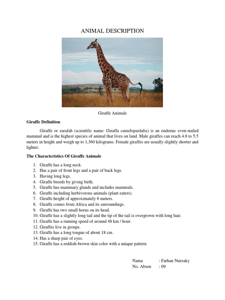 Animal Description: Giraffe Definition | PDF