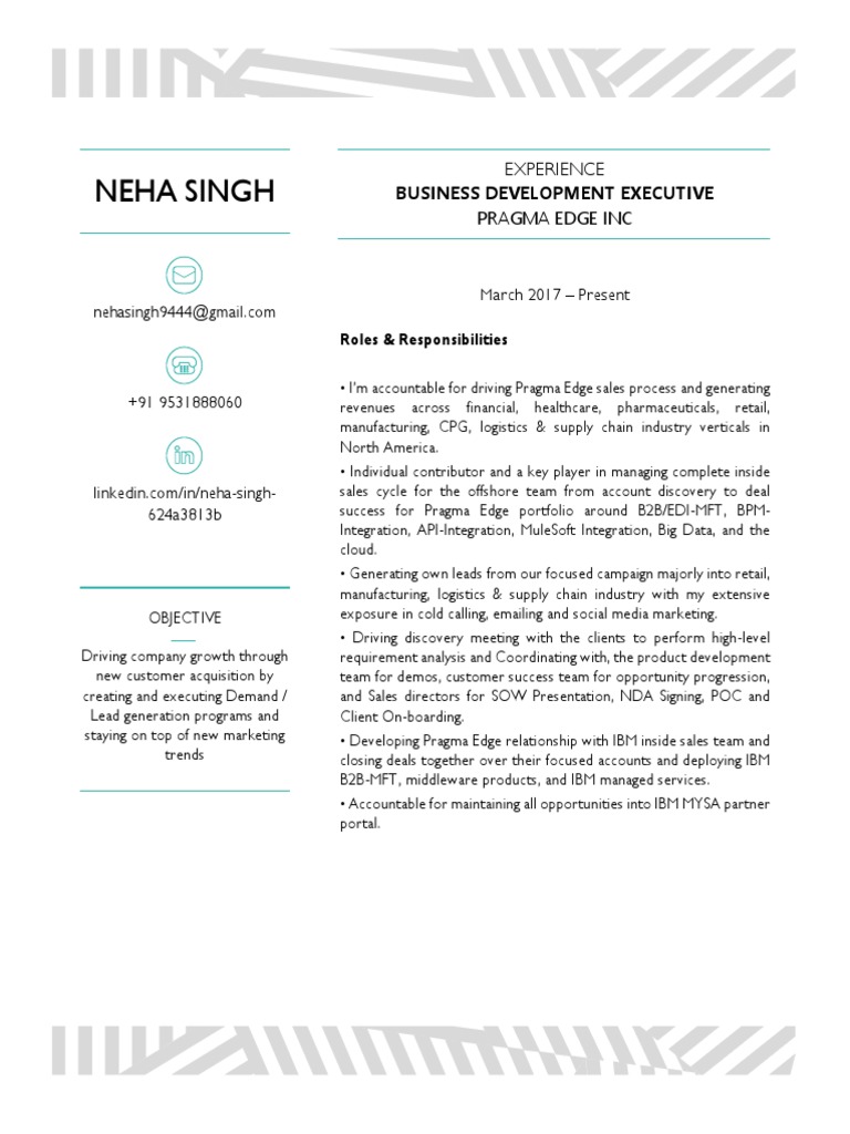 Neha Singh CV | PDF | Sales | Customer Relationship Management